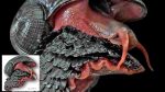 The Iron-Clad Dweller of the Deep: Unveiling the Volcano Snail - Fact ...