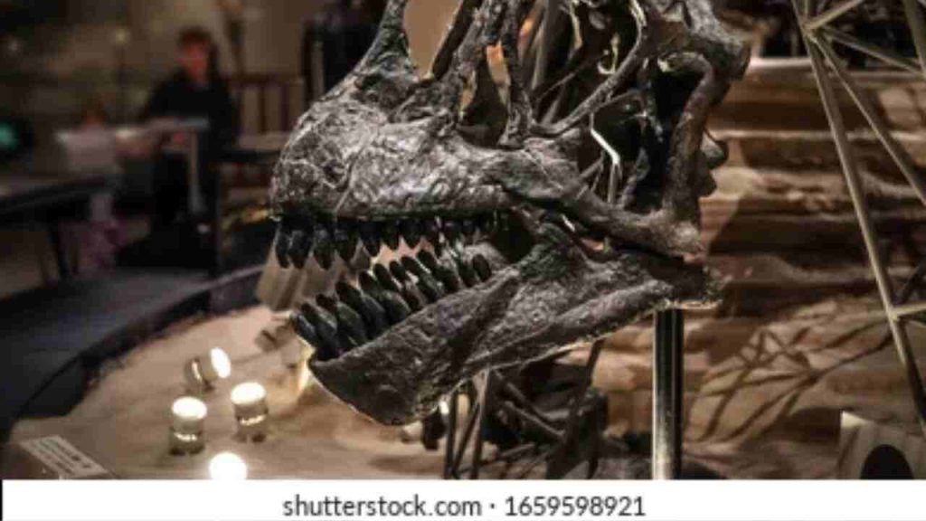 Unveiling the Chakisaurus Nekul: A Speedy Herbivore from Patagonia
